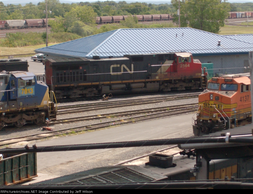 CN/BNSF/CSX Nice color mix